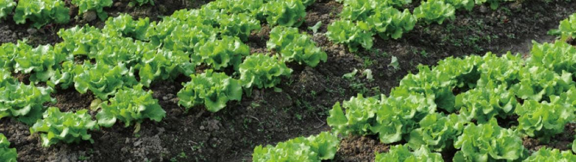 BH株式会社[ビーエイチ] | BH Inc.